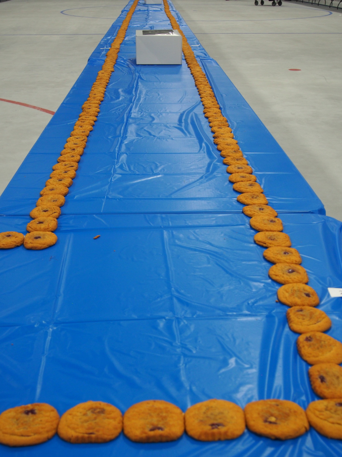 It’s unofficial but looks like Saugeen Shores has another world record ...