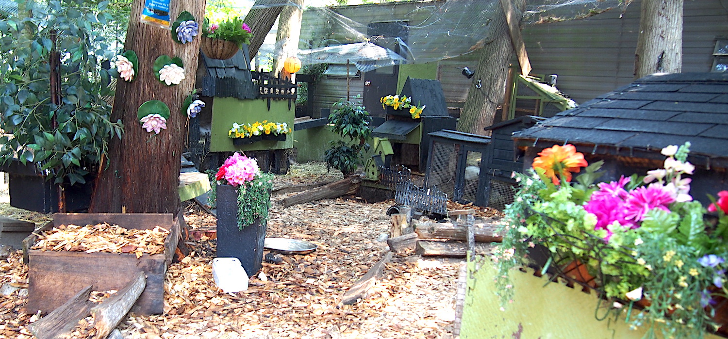 Rabbit House Rescue – a place where bunnies can frolic, play and live ...